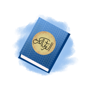 MyTutor.My